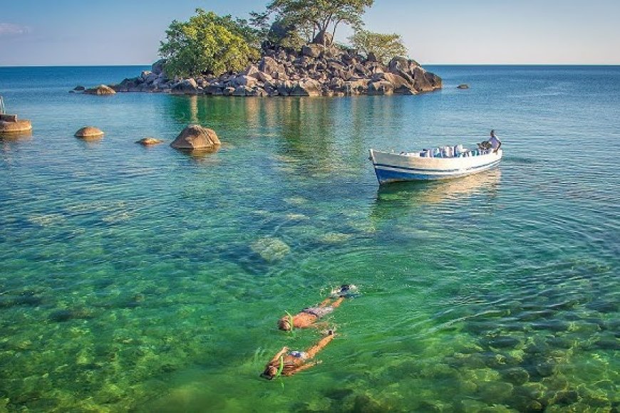 Lake Malawi: A Biodiversity Hotspot with Unique Wildlife & Conservation ...