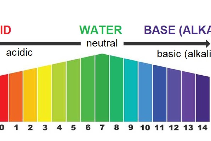 Acids vs. Bases: Understanding the pH Scale. - Tower Academic