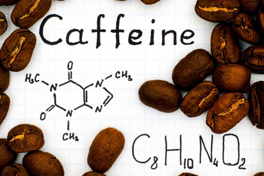 How Does Caffeine Affect Your Brain The Chemistry of Coffee - Tower ...