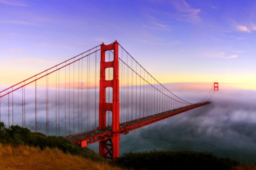 How Do Suspension Bridges Work The Science of Strong Structures - Tower ...