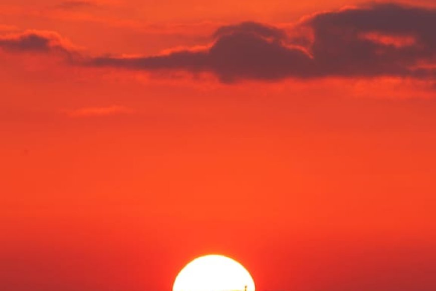 Why Does the Sky Turn Red at Sunset - Tower Academic