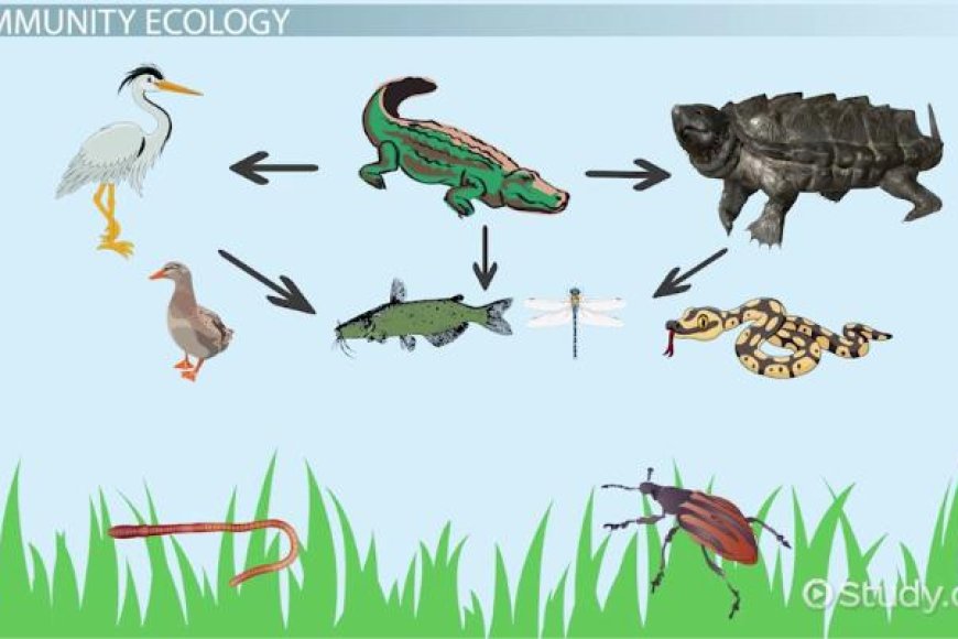 What Is Ecology? Understanding the Relationship Between Organisms and ...